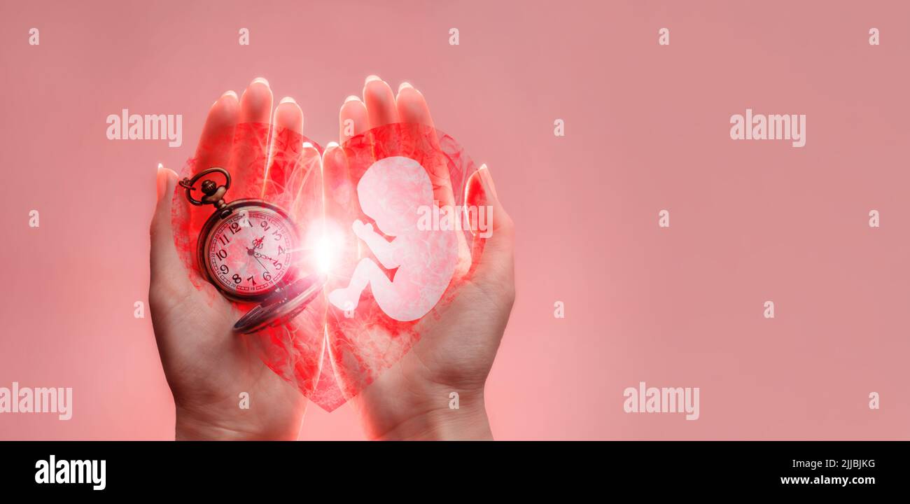 Embryo silhouette from paper and clock in woman hands with broken heart ...