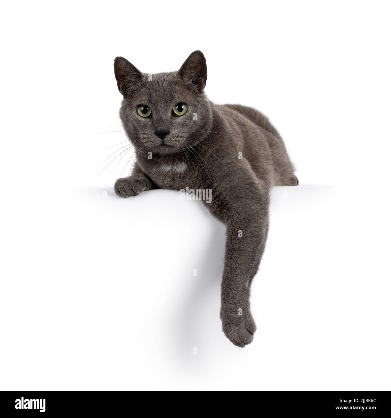 Straight hair hanging down hi-res stock photography and images - Alamy