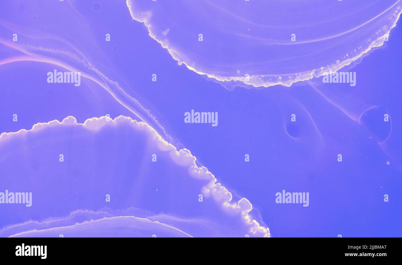 Graphic Ink Template. Blue Futuristic Trendy Stock Photo - Alamy