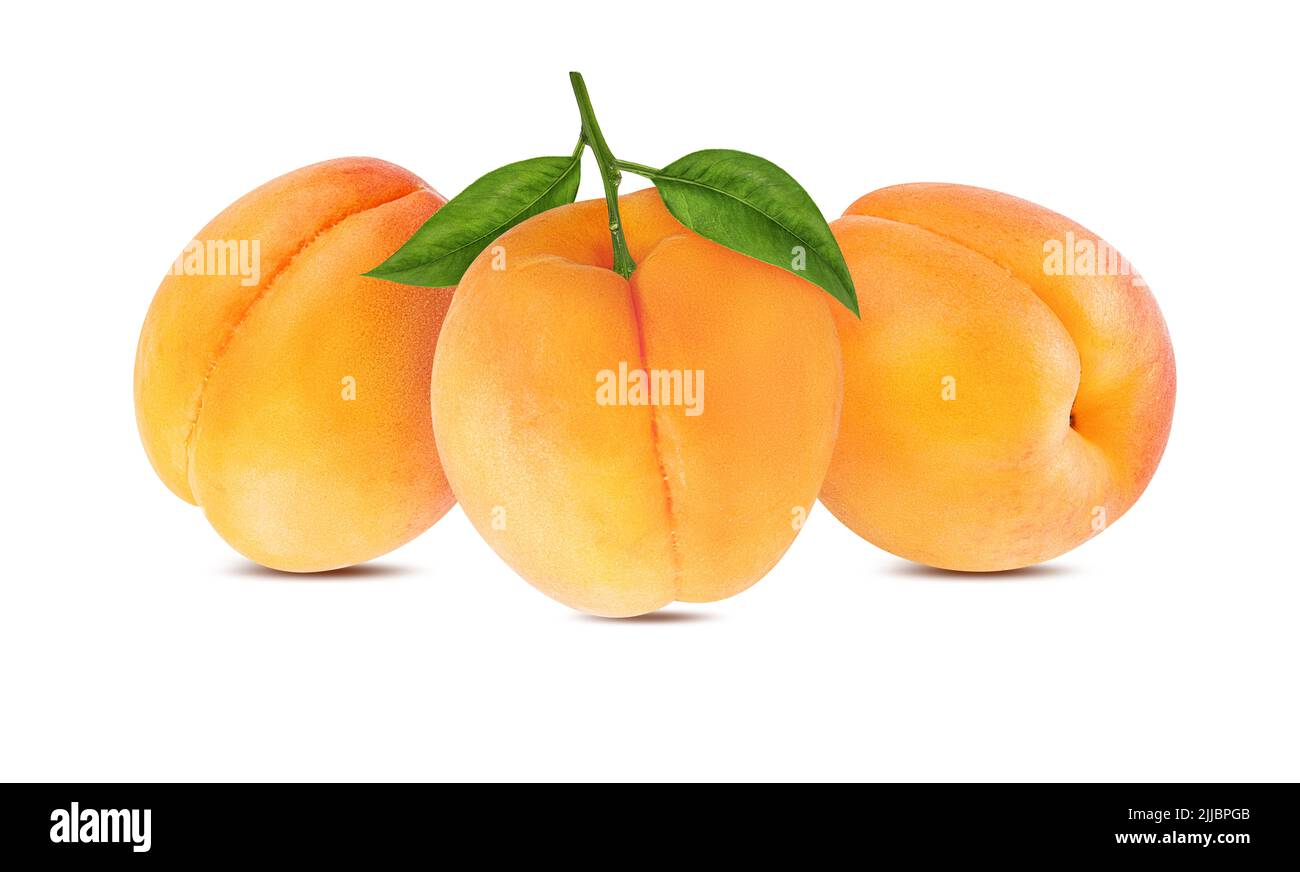 apricot isolated on white background Stock Photo - Alamy
