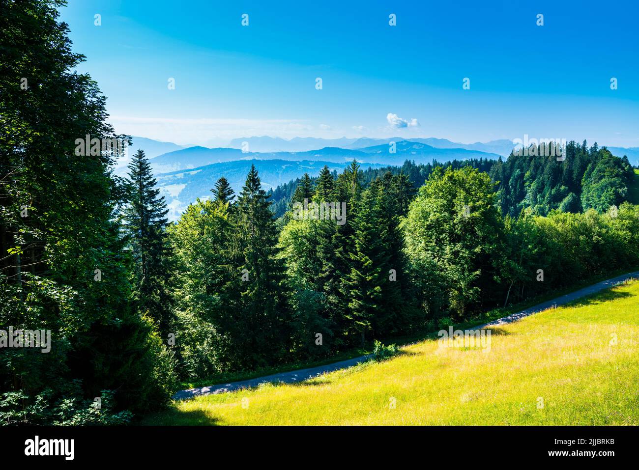 Germany, Panorama view above tree tops, forest and pastures on top of ...