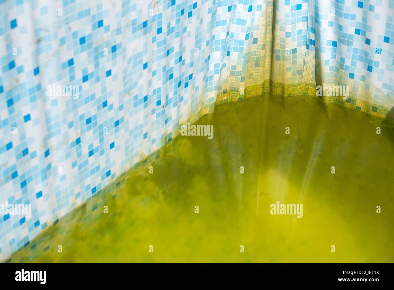 Back yard swimming pool behind modern single family home at pool ...