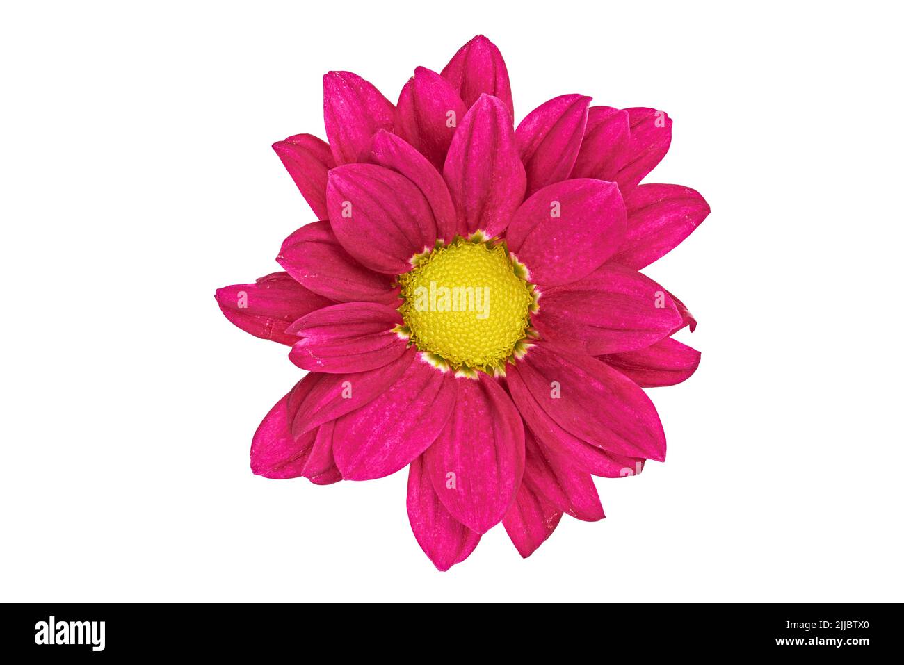 Wallpaper pink Cut Out Stock Images & Pictures - Alamy