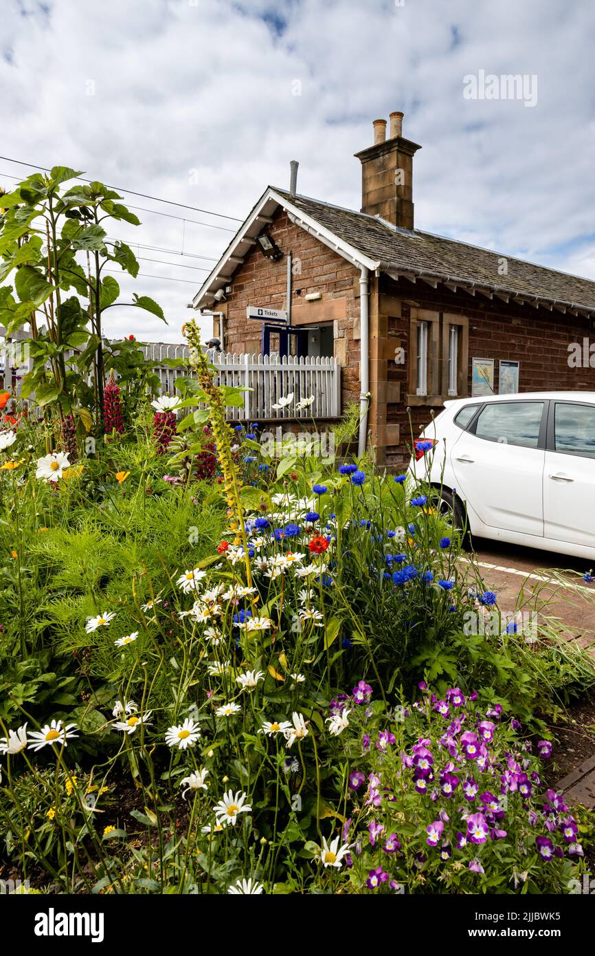 Cardross Railway station grounds transformed by volunteers into a ...