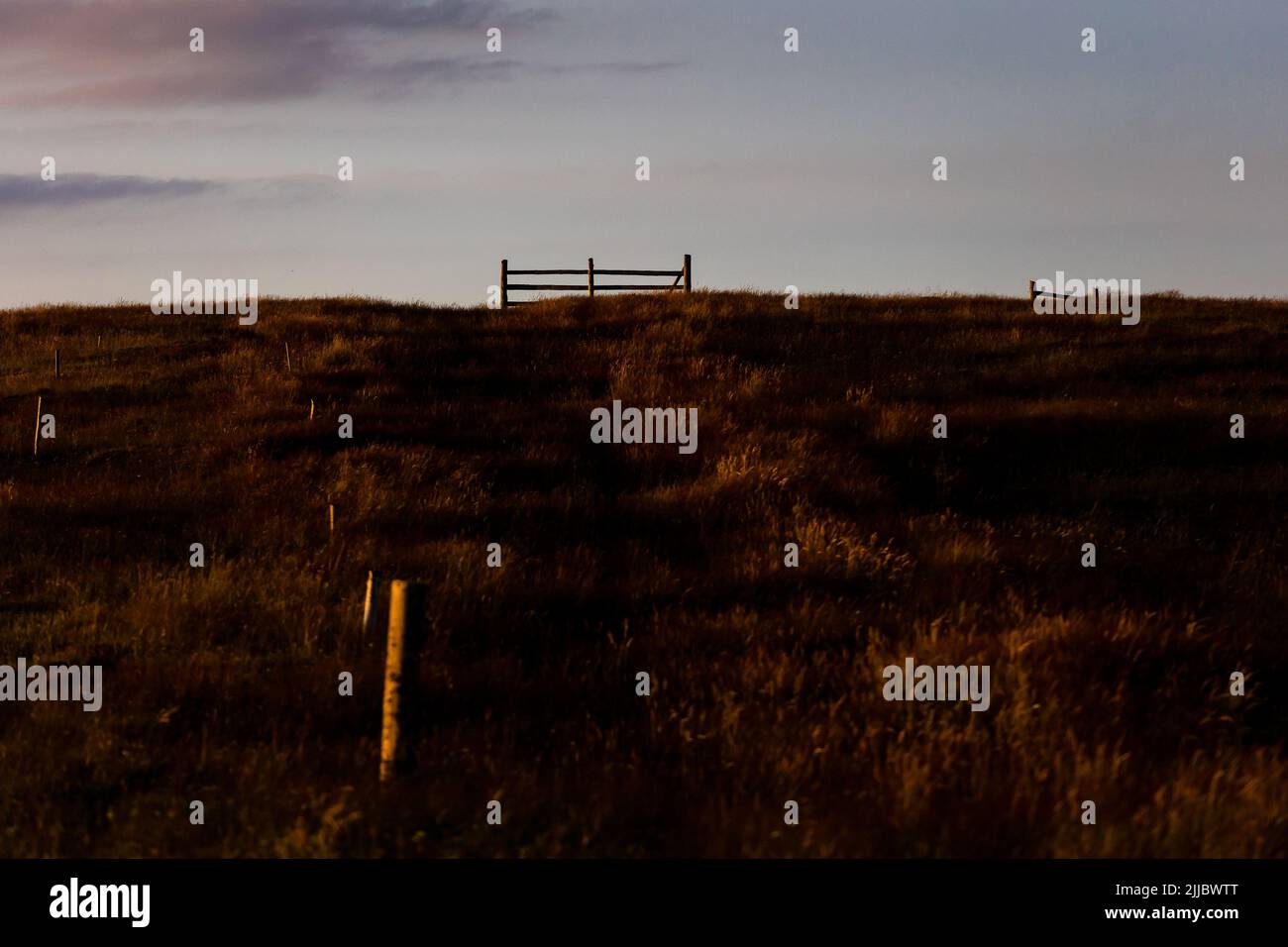 Paltinis romania hi-res stock photography and images - Alamy