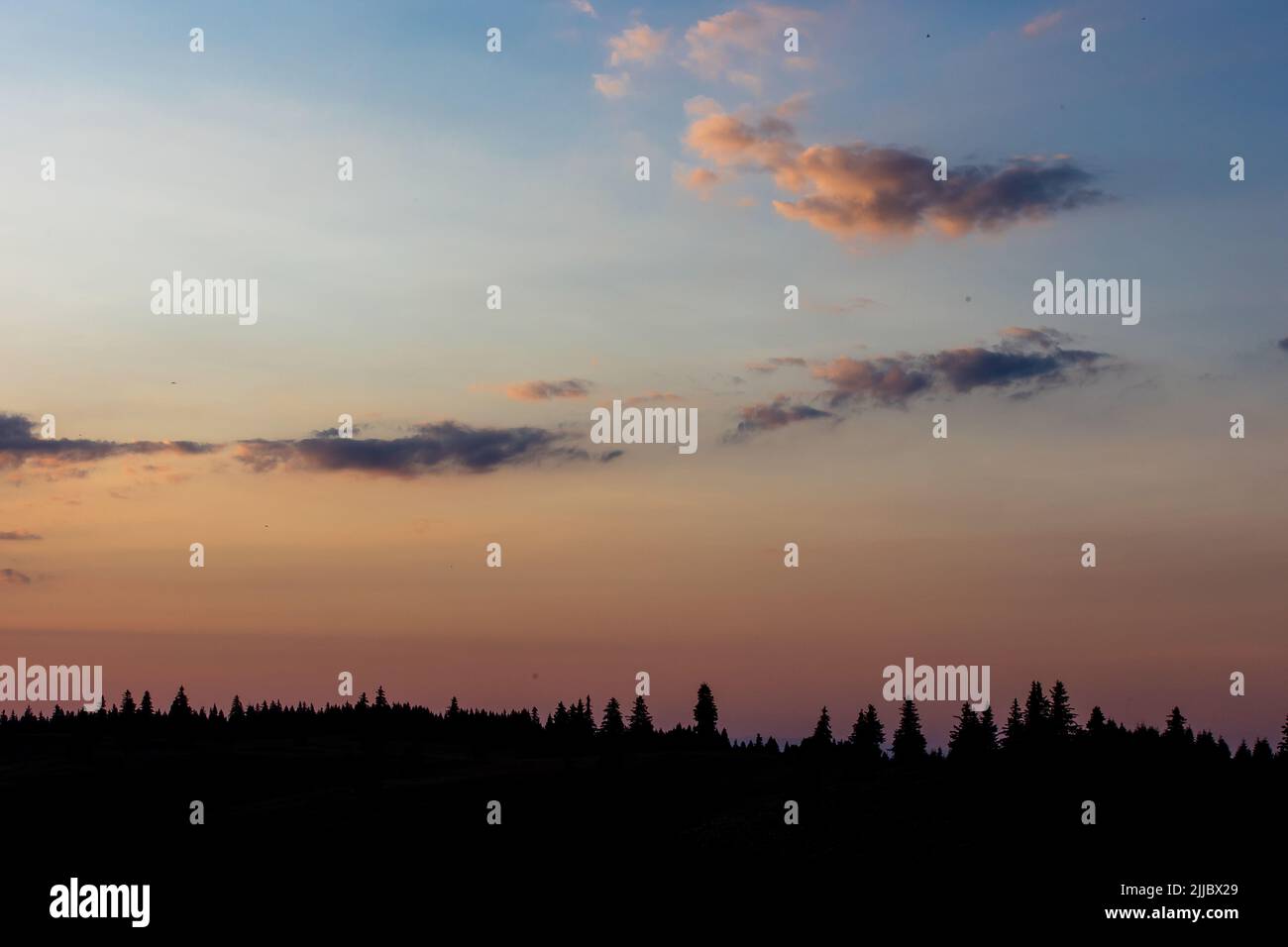 Beautiful sunset landscape with mountains and firs. Shot in Paltinis ...