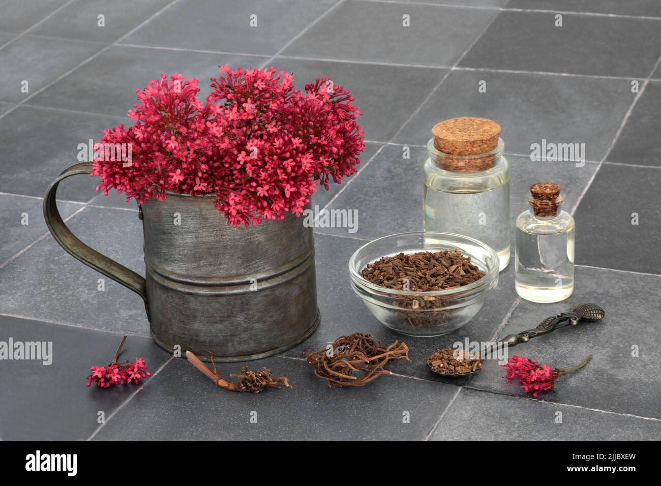 Preparation of valerian herb plant with adaptogen root, flowers and oil ...