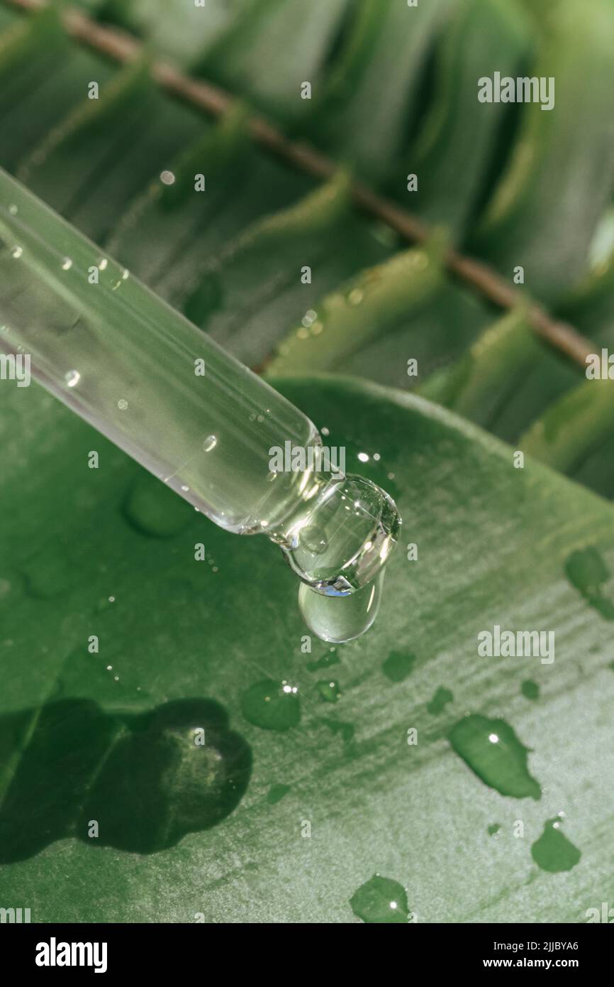 Pipette with essential liquid serum or oil. On a green leaves ...