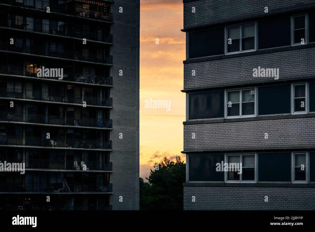 Aerial view of Prospect Avenue between two apartment buildings and ...