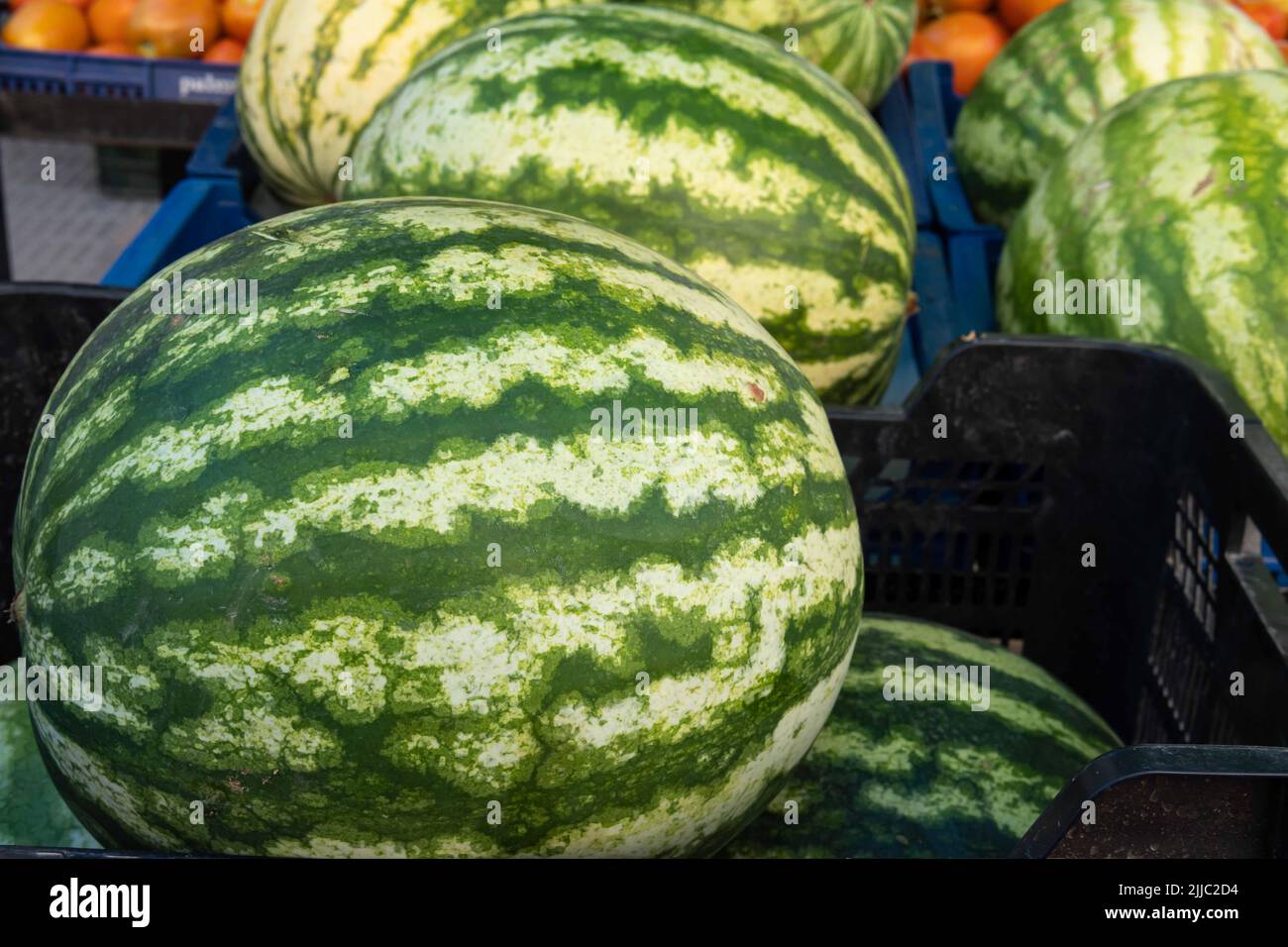 Sale of watermelons exposed in the street. Refreshing summer fruit ...