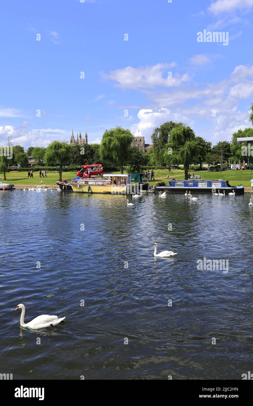 Boats on the river Nene embankment, Peterborough City; Cambridgeshire ...