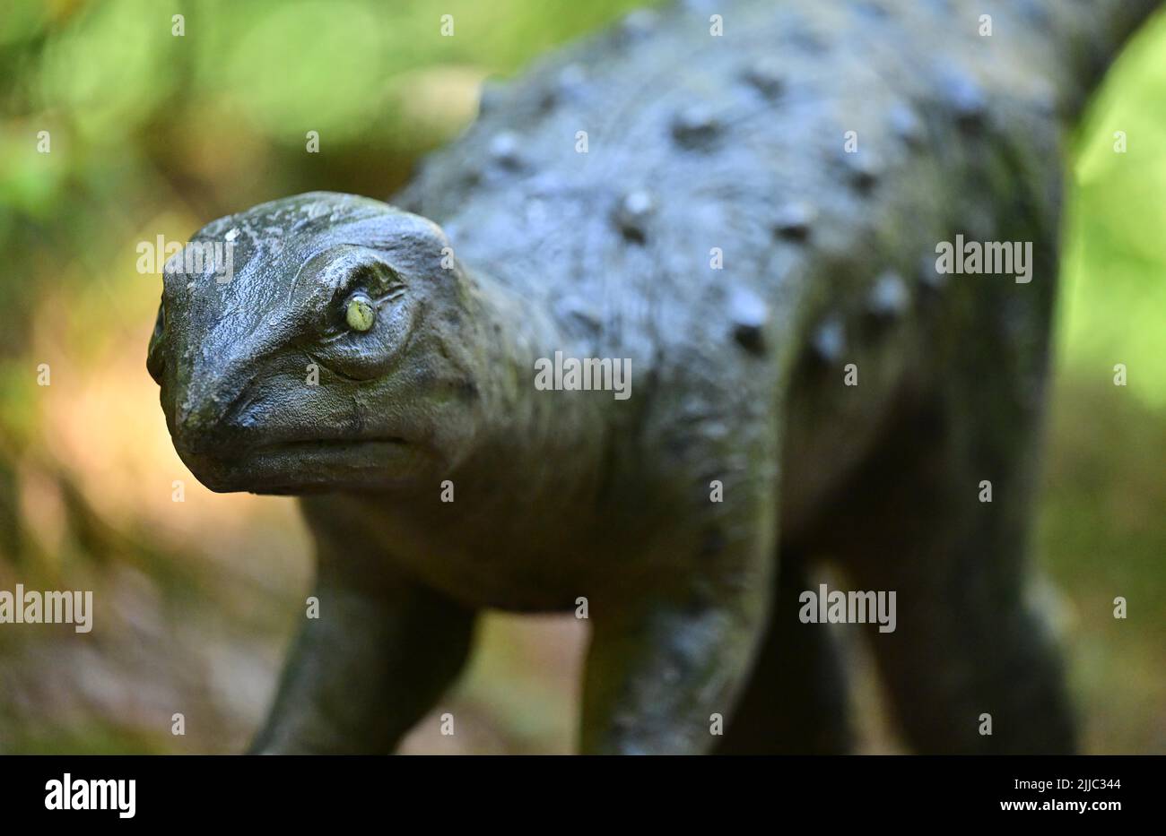 Ernsti hi-res stock photography and images - Alamy