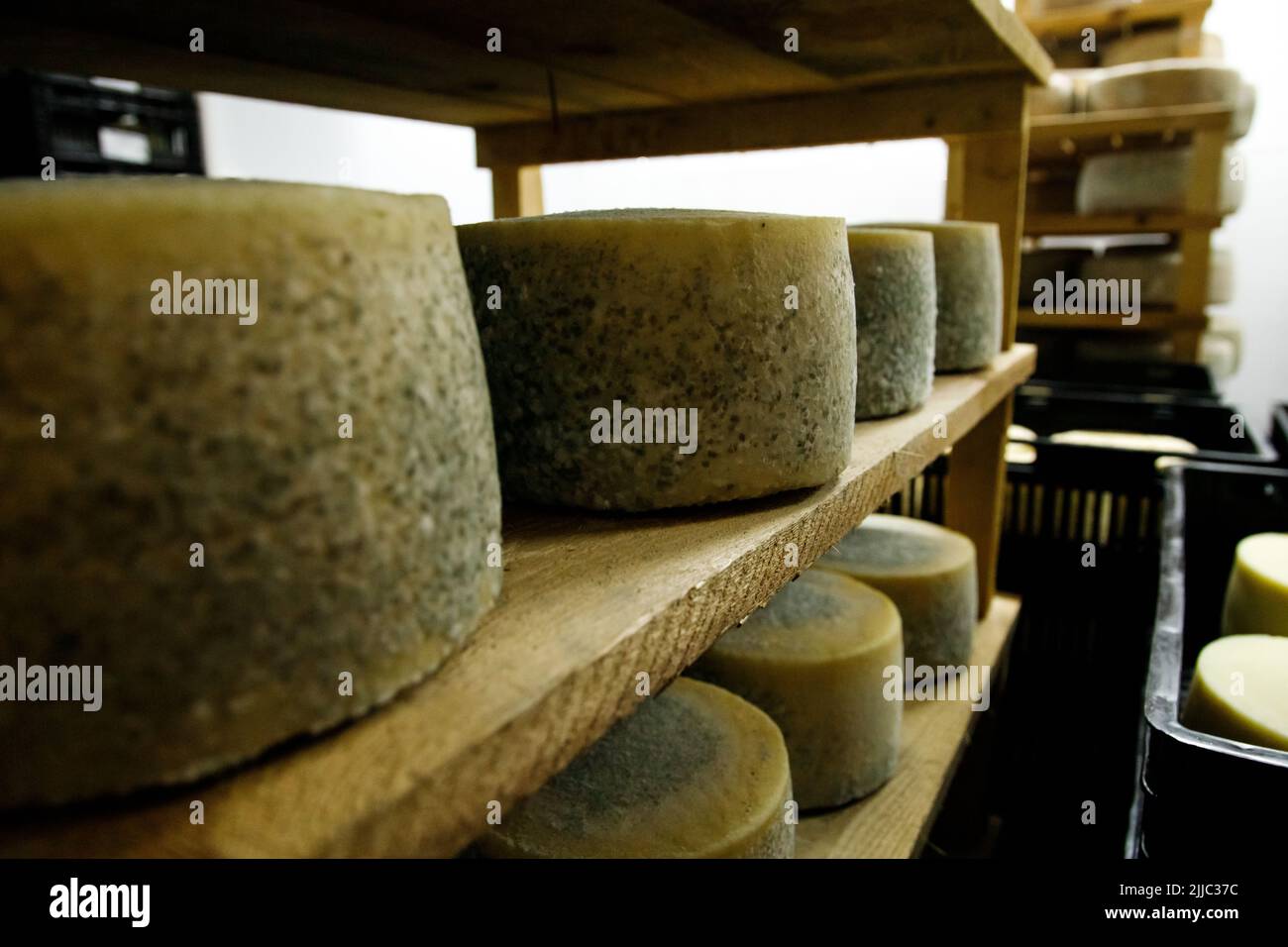 Ripening chamber hi-res stock photography and images - Alamy