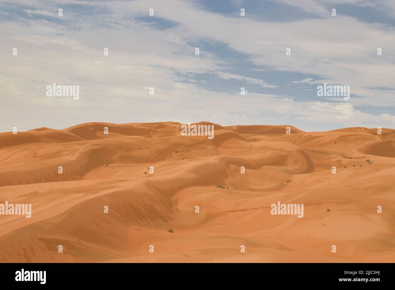 Sand dunes after rain hi-res stock photography and images - Alamy