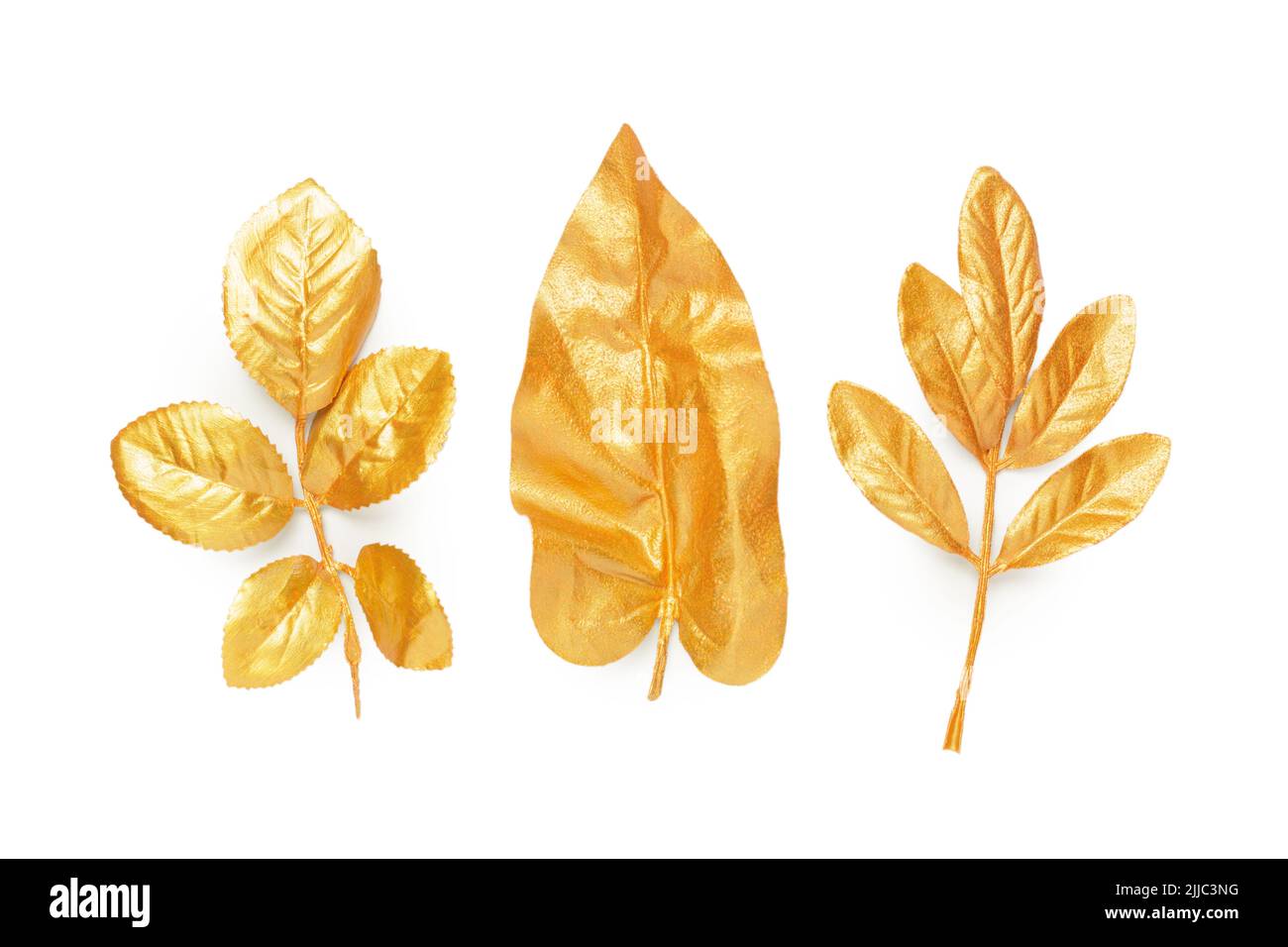 golden leaf design elements Stock Photo - Alamy