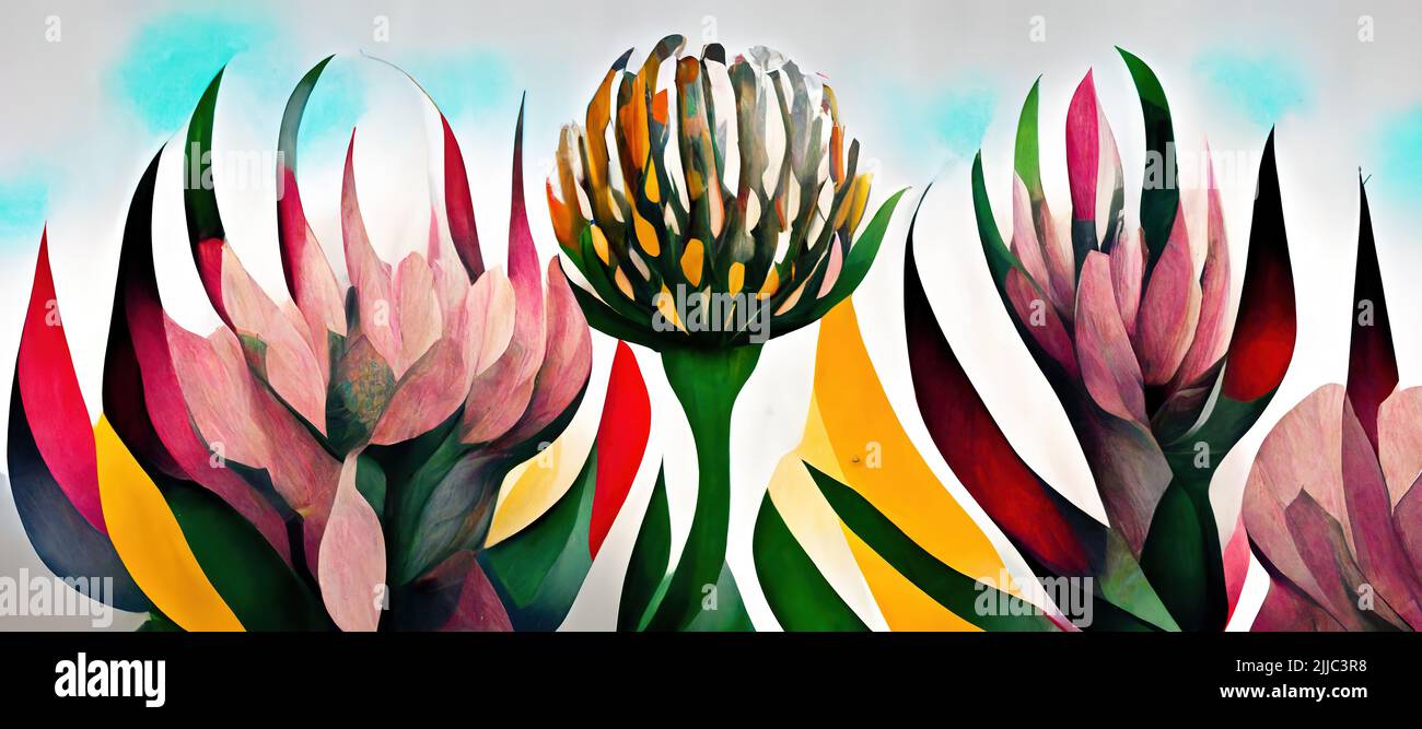 King protea illustration hi-res stock photography and images - Alamy