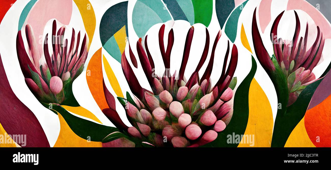 King protea illustration hi-res stock photography and images - Alamy