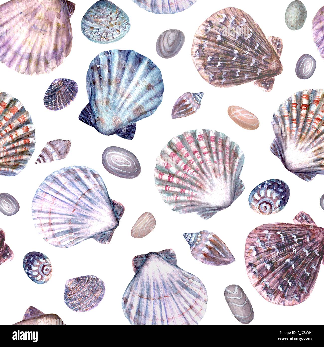 Watercolor seashell, stone seamless pattern. Hand drawn sea shells and ...