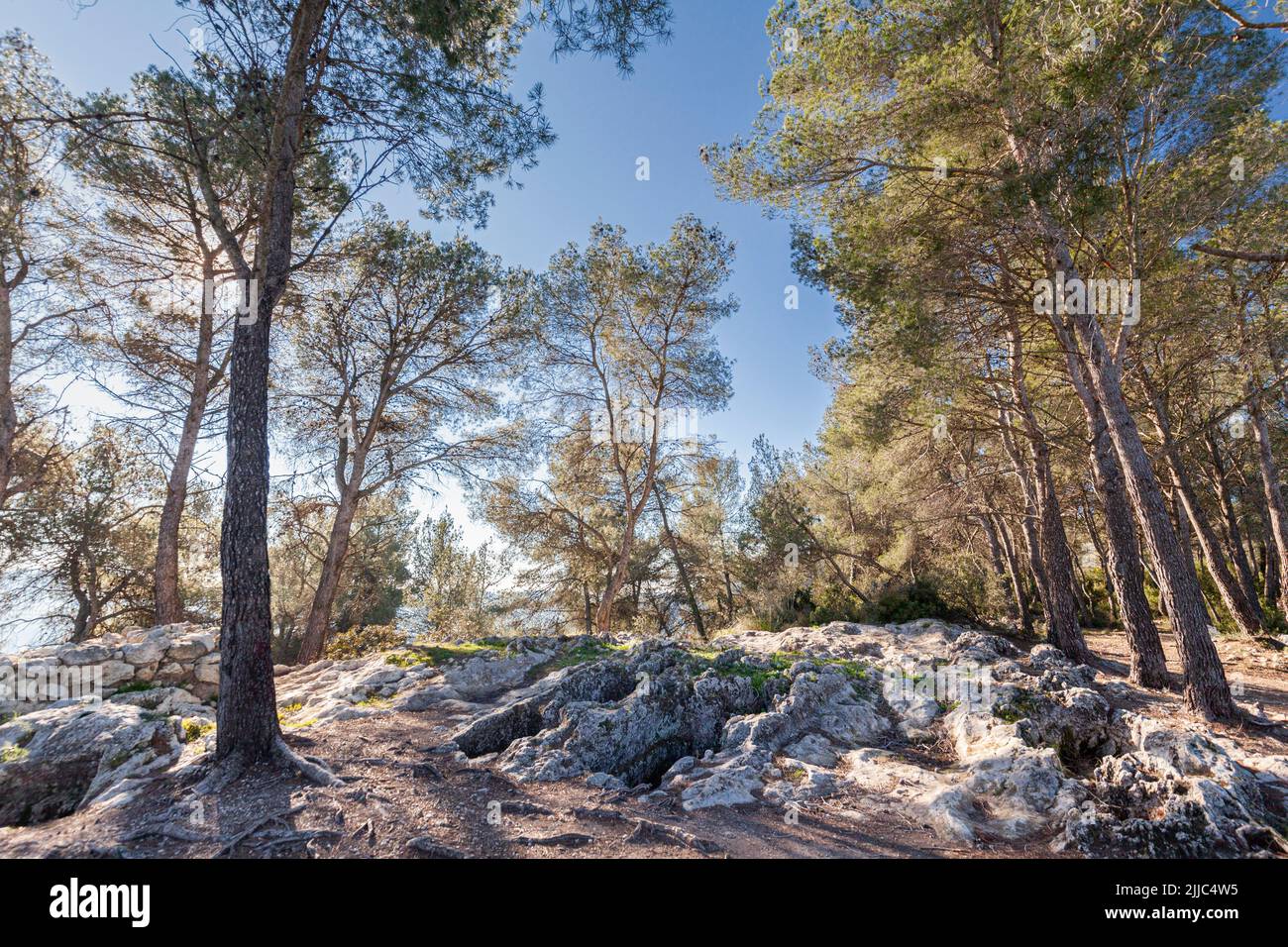 Necropolis, Sant Miquel d'Olèrdola, Barcelona, Spain Stock Photo - Alamy