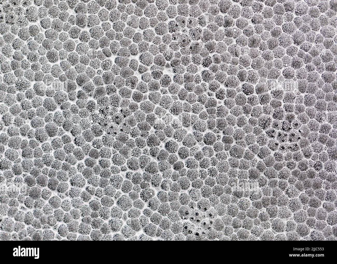 Grey polystyrene foam board background. Details of styrofoam sheet ...