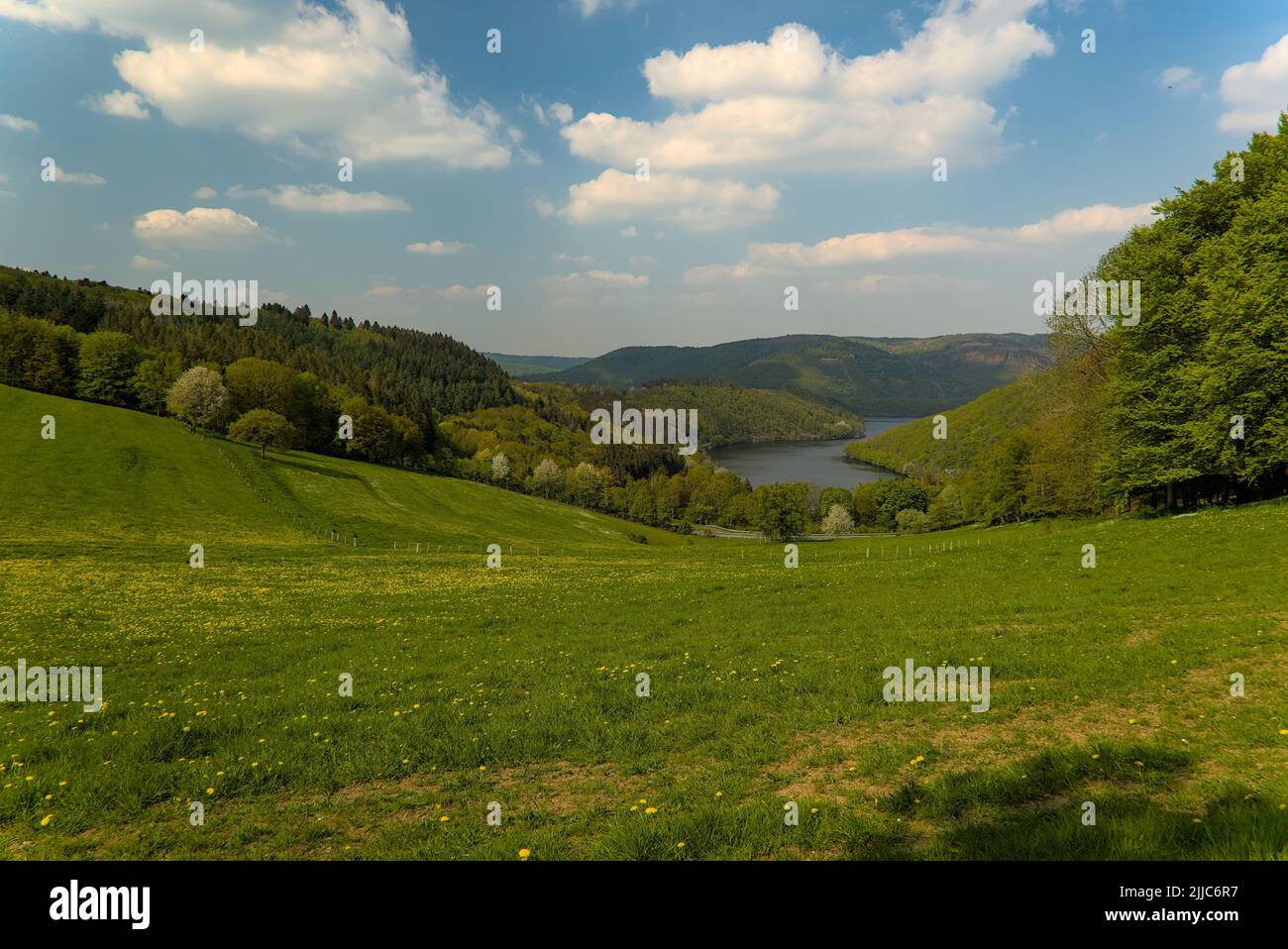 Beautiful nature in eifel hi-res stock photography and images - Alamy