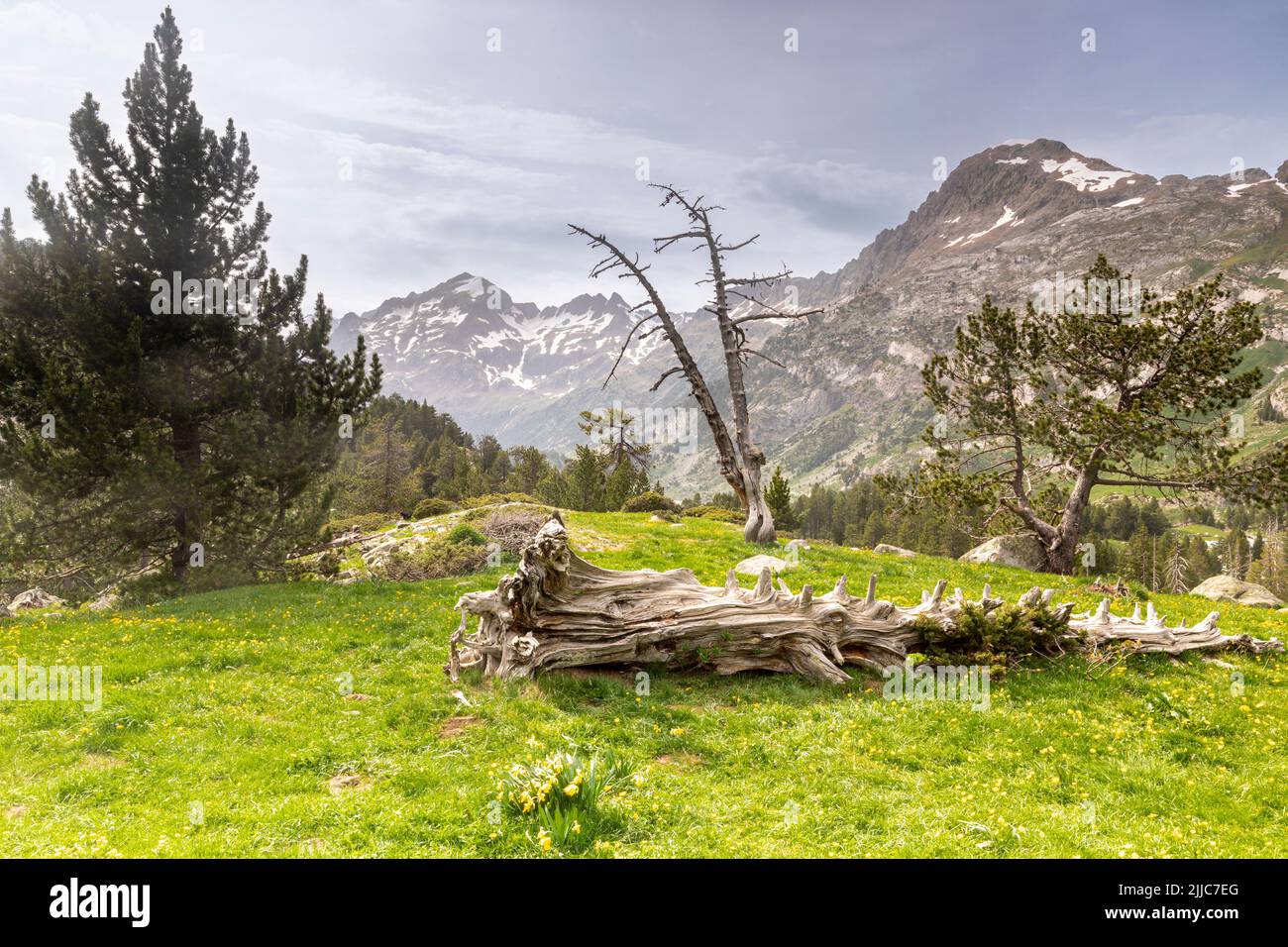 Hiking towards Plan de Aiguallut, Valle de Benasque, Natural Park of ...