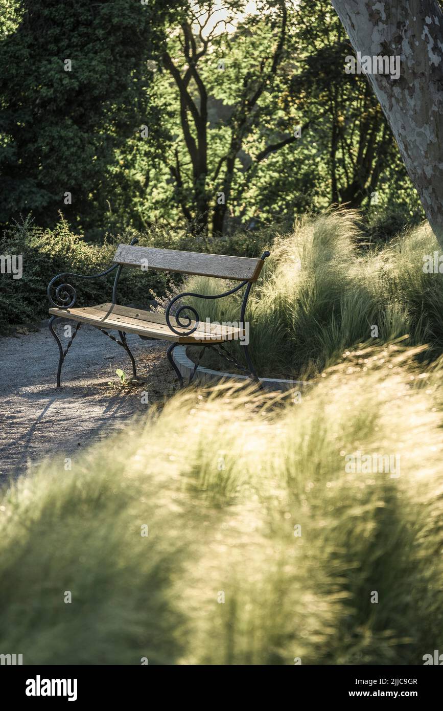 Park grass bench town hi-res stock photography and images - Alamy