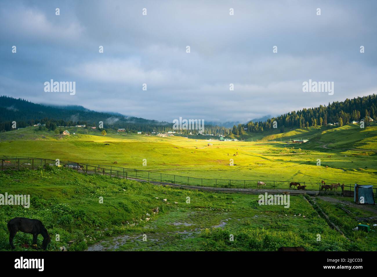 Landscape in the mountains, Gulmarg, Baramulla, Jammu and Kashmir ...