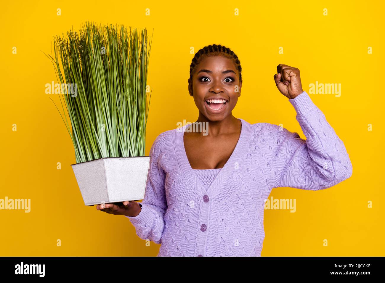 Photo of delighted funny lady hold plant put raise fist celebrate ...