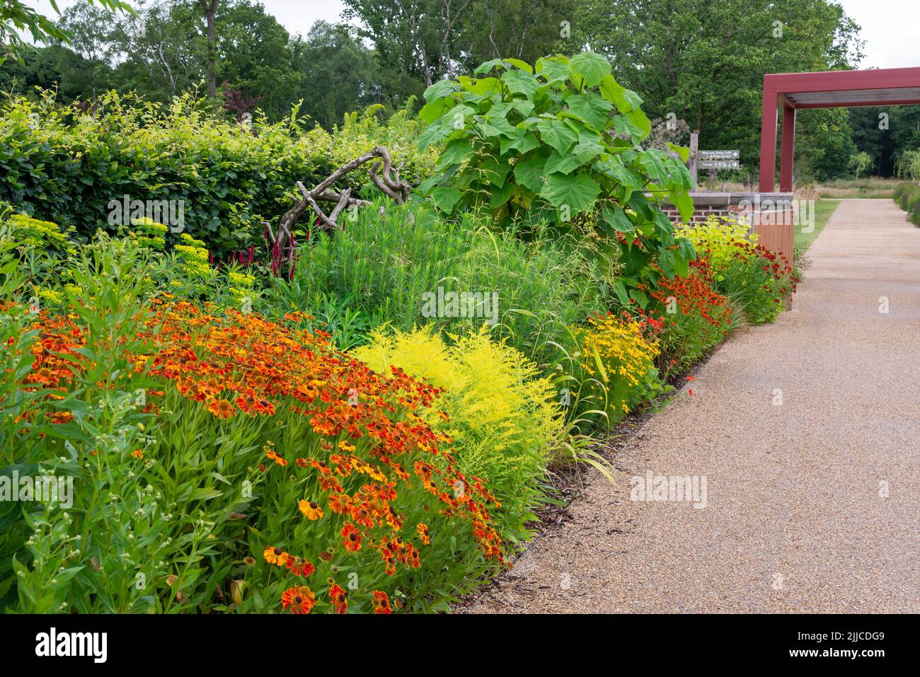The hot borders at RHS Bridgewater near Worsley, Greater Manchester ...