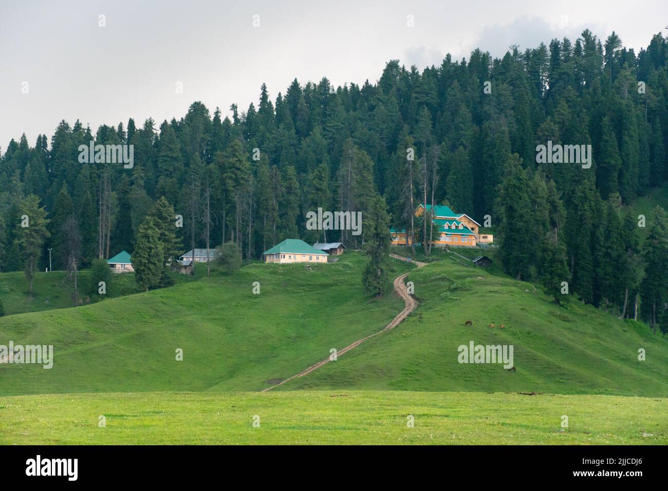 Gulmarg is a town, a hill station in summer time, a popular skiing ...