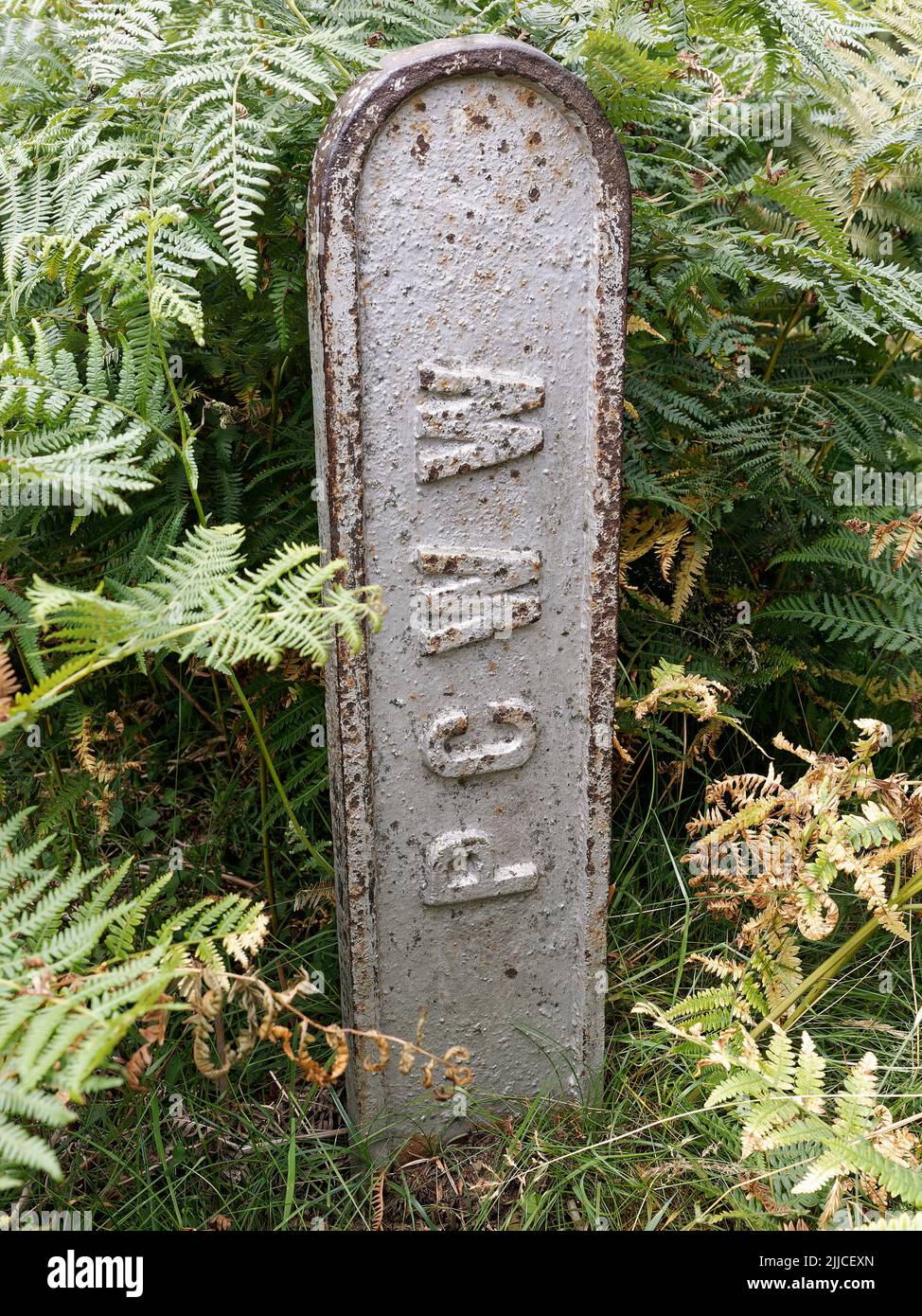 Silver marker hi-res stock photography and images - Alamy