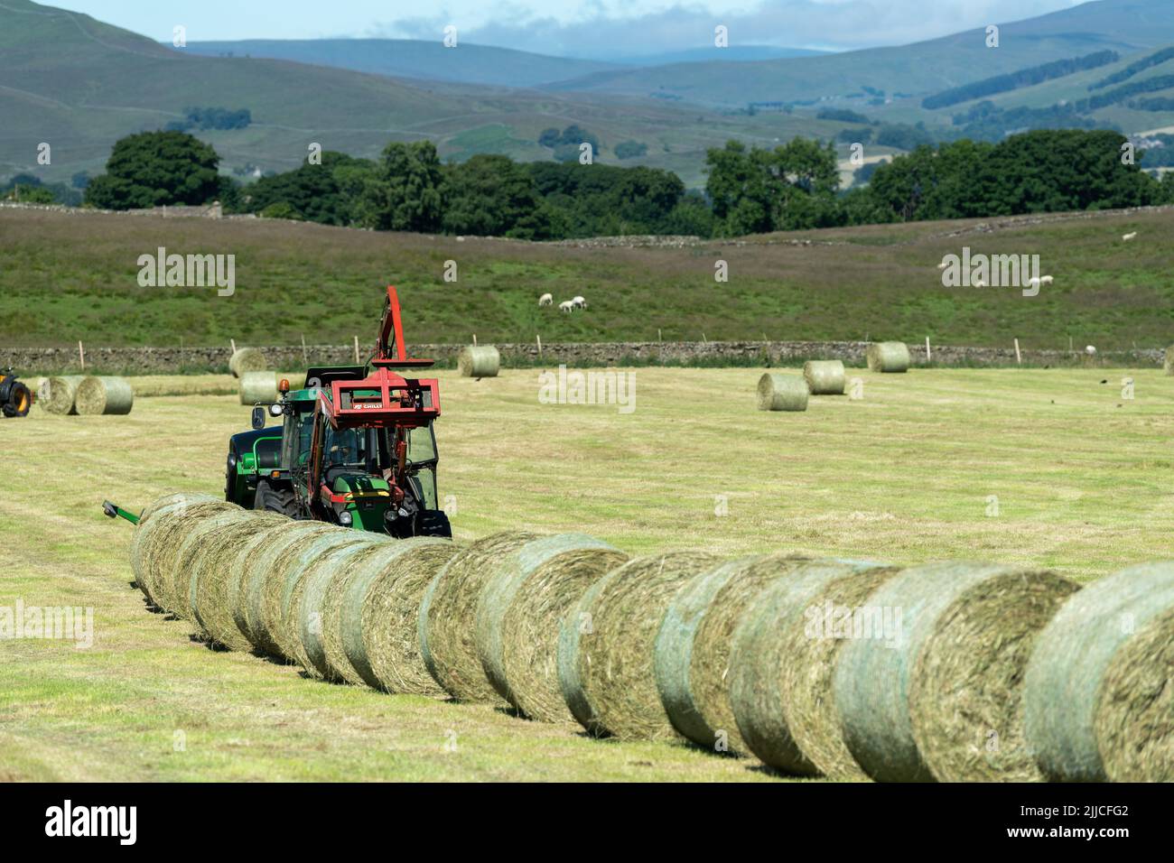 Farmer wrapping bales of silage after baling in summer. Wensleydale ...