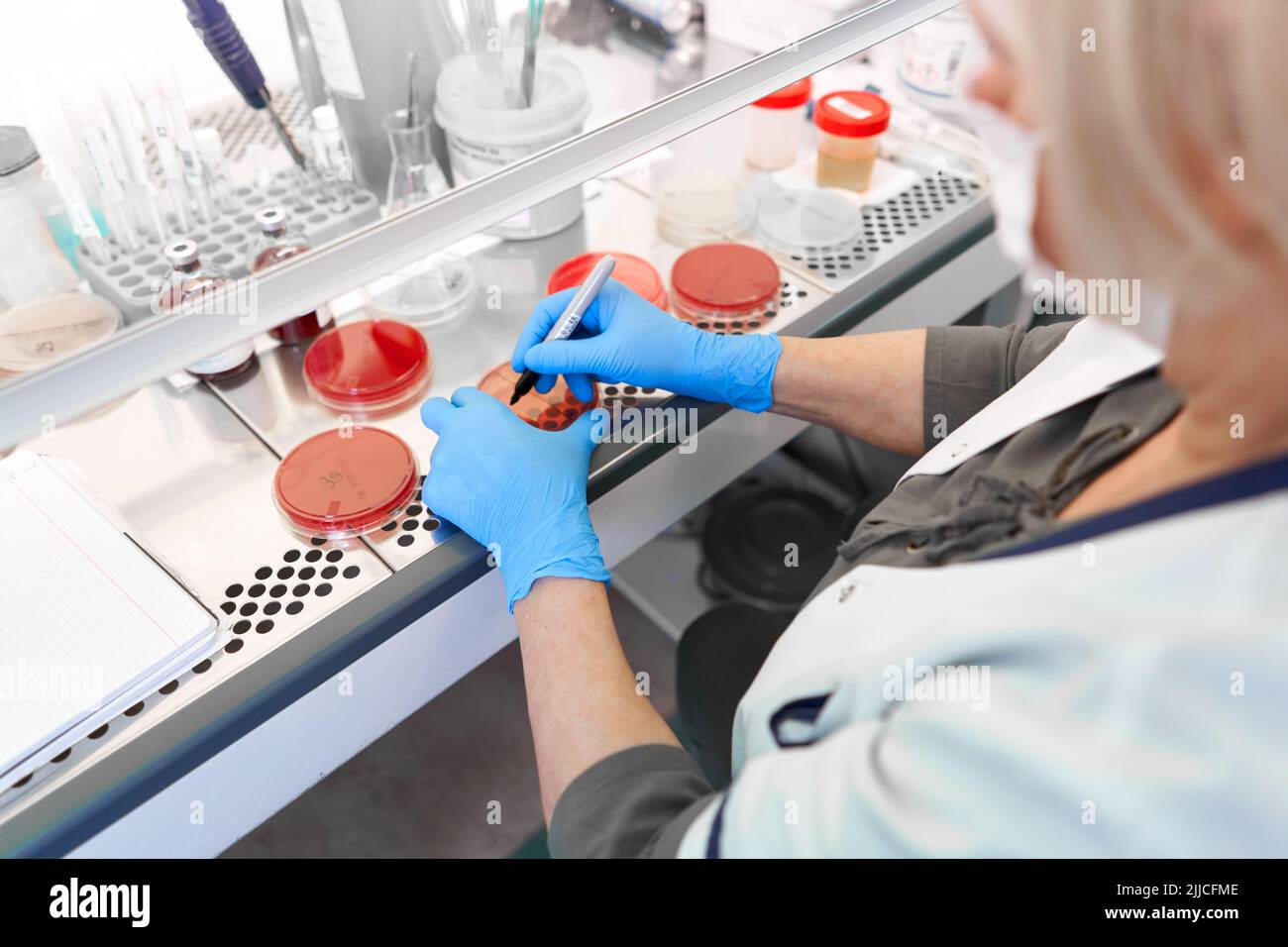 Woman marking laboratory samples of cell cultivation Stock Photo - Alamy