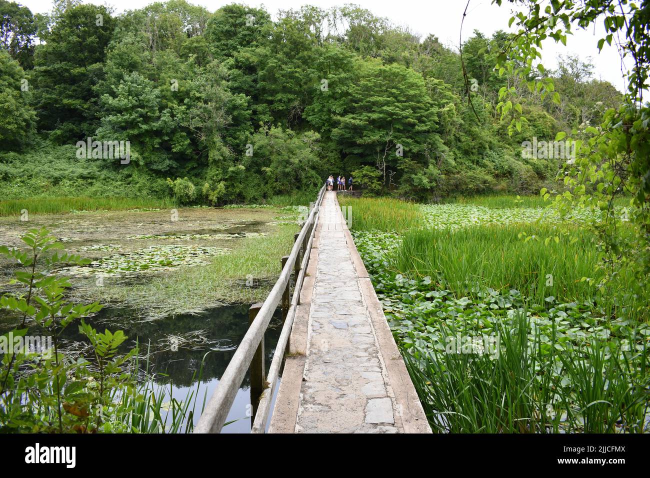Bosherston causeway hi-res stock photography and images - Alamy