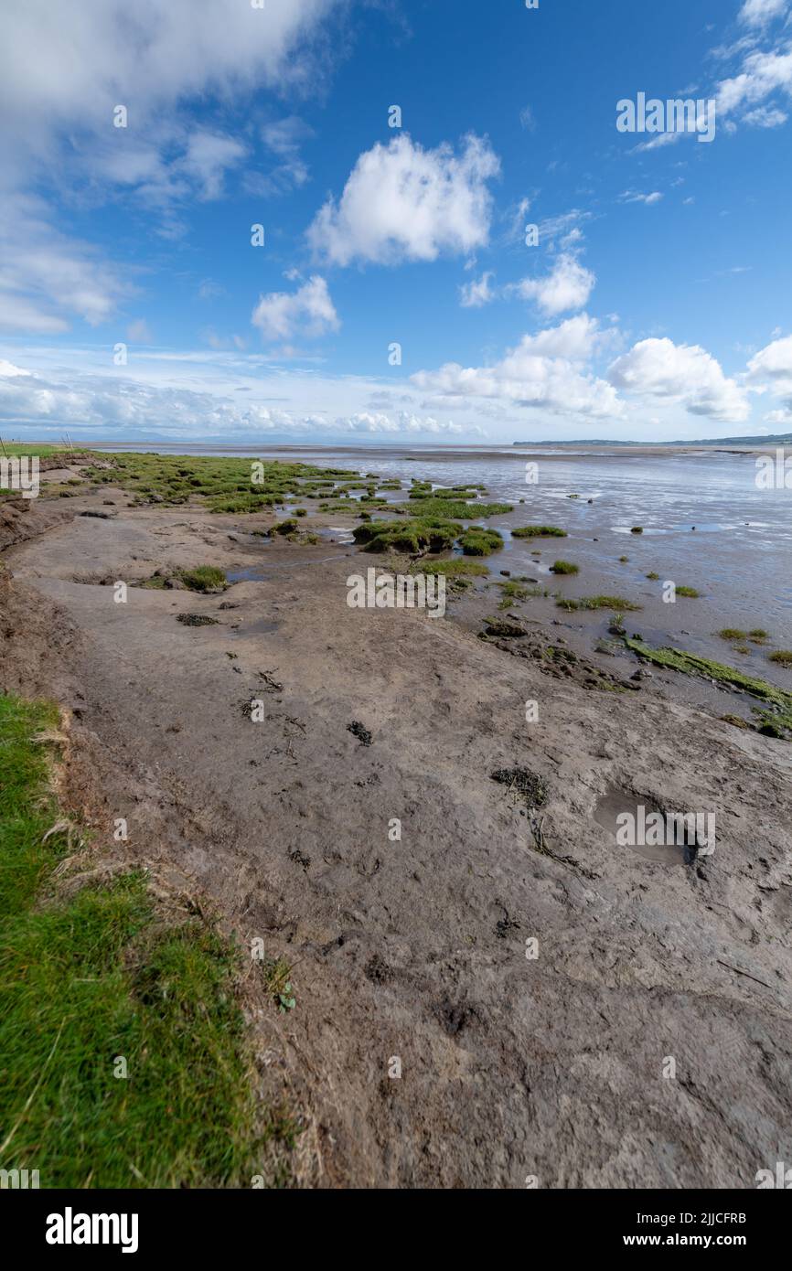 Saltmarsh habitat near the Caerlaverock nature reserve on the Solway ...