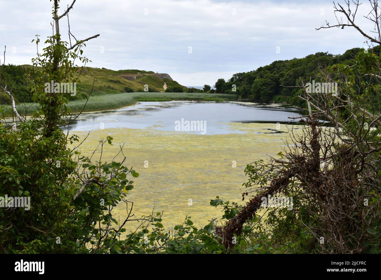 Mesotrophic lakes hi-res stock photography and images - Alamy