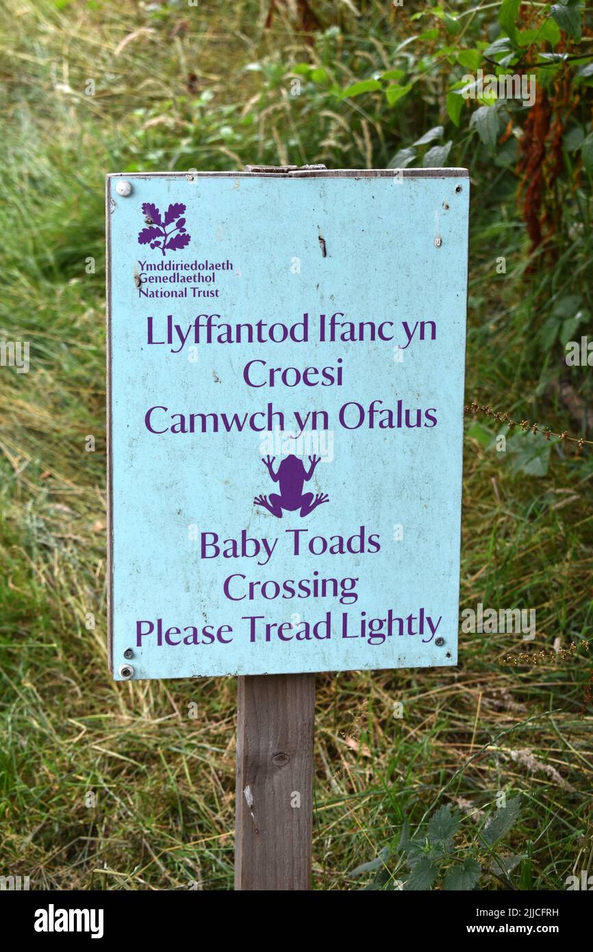Baby Toads Crossing Please Tread Lightly sign, Bosherston, Stackpole ...