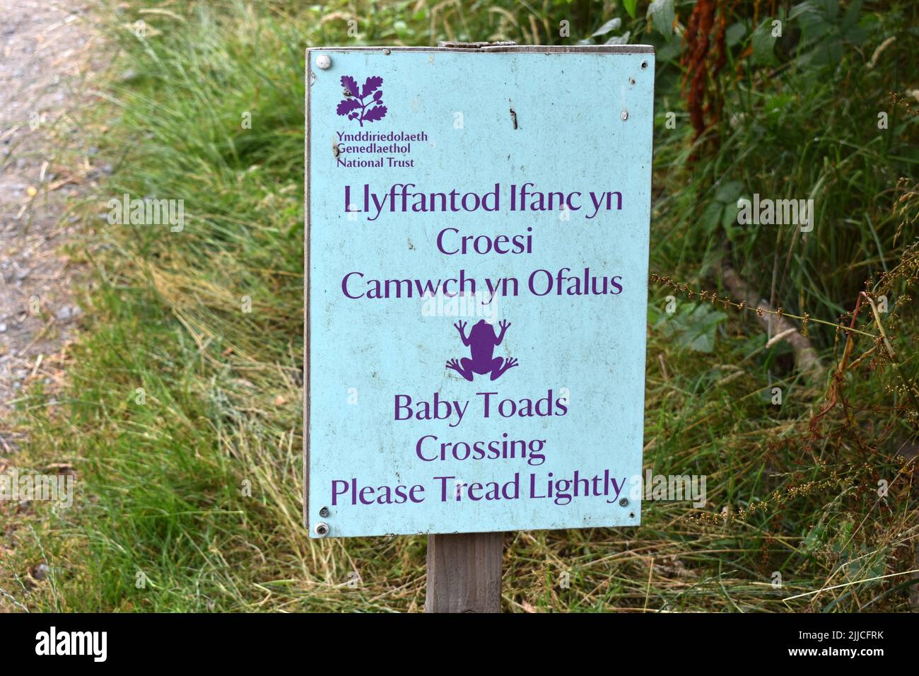 Please tread lightly sign hi-res stock photography and images - Alamy