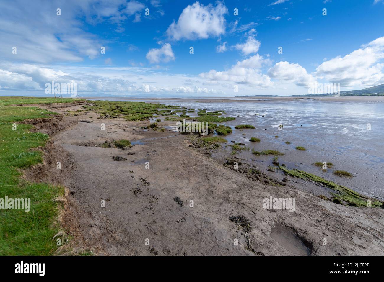 Saltmarsh habitat near the Caerlaverock nature reserve on the Solway ...