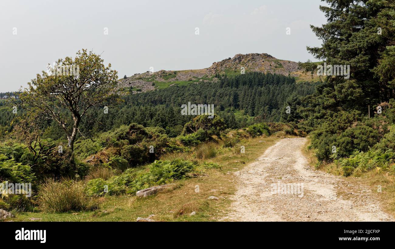 Leather tor hi-res stock photography and images - Alamy