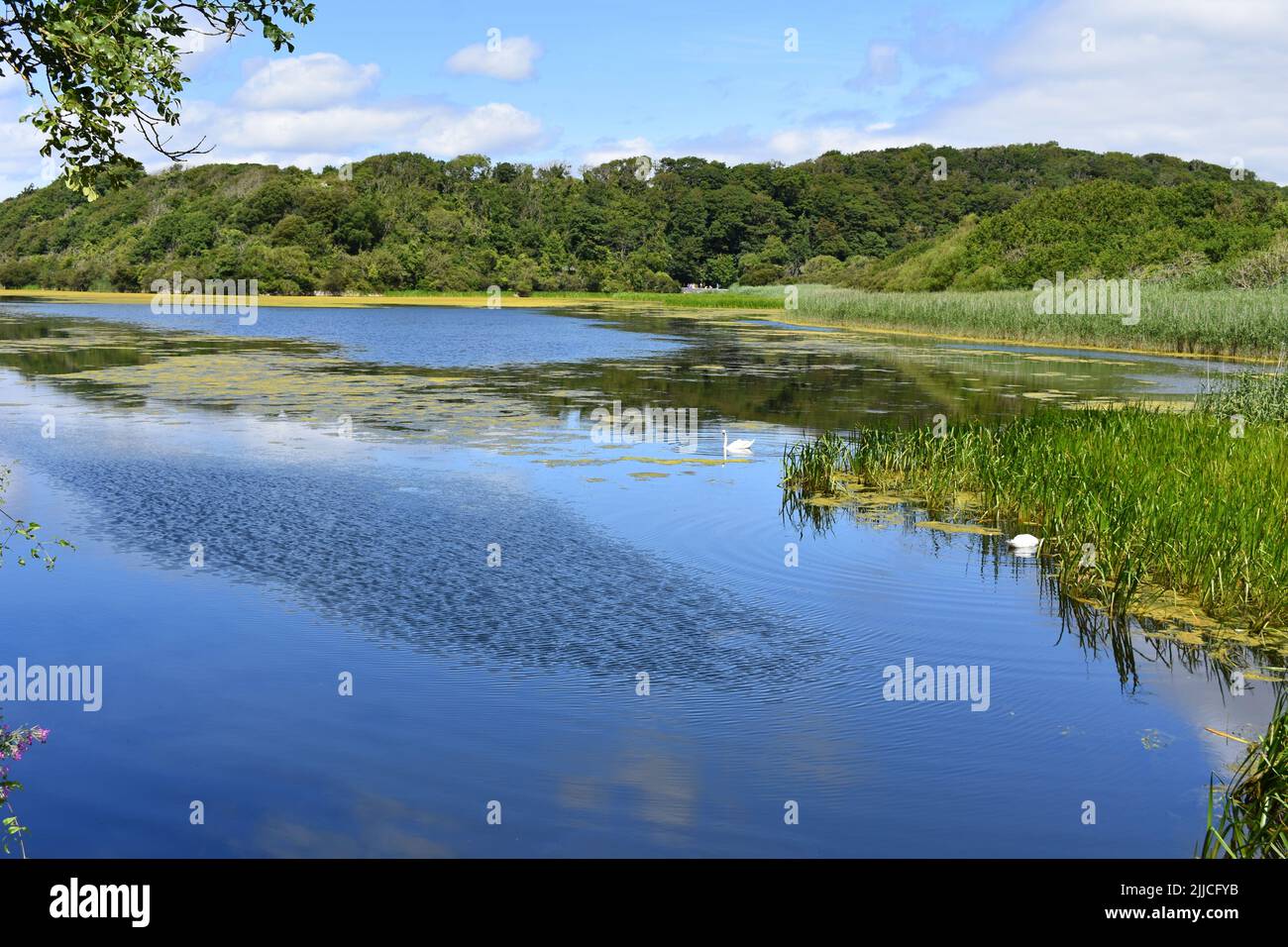 Lakes and freshwater lakes hi-res stock photography and images - Alamy
