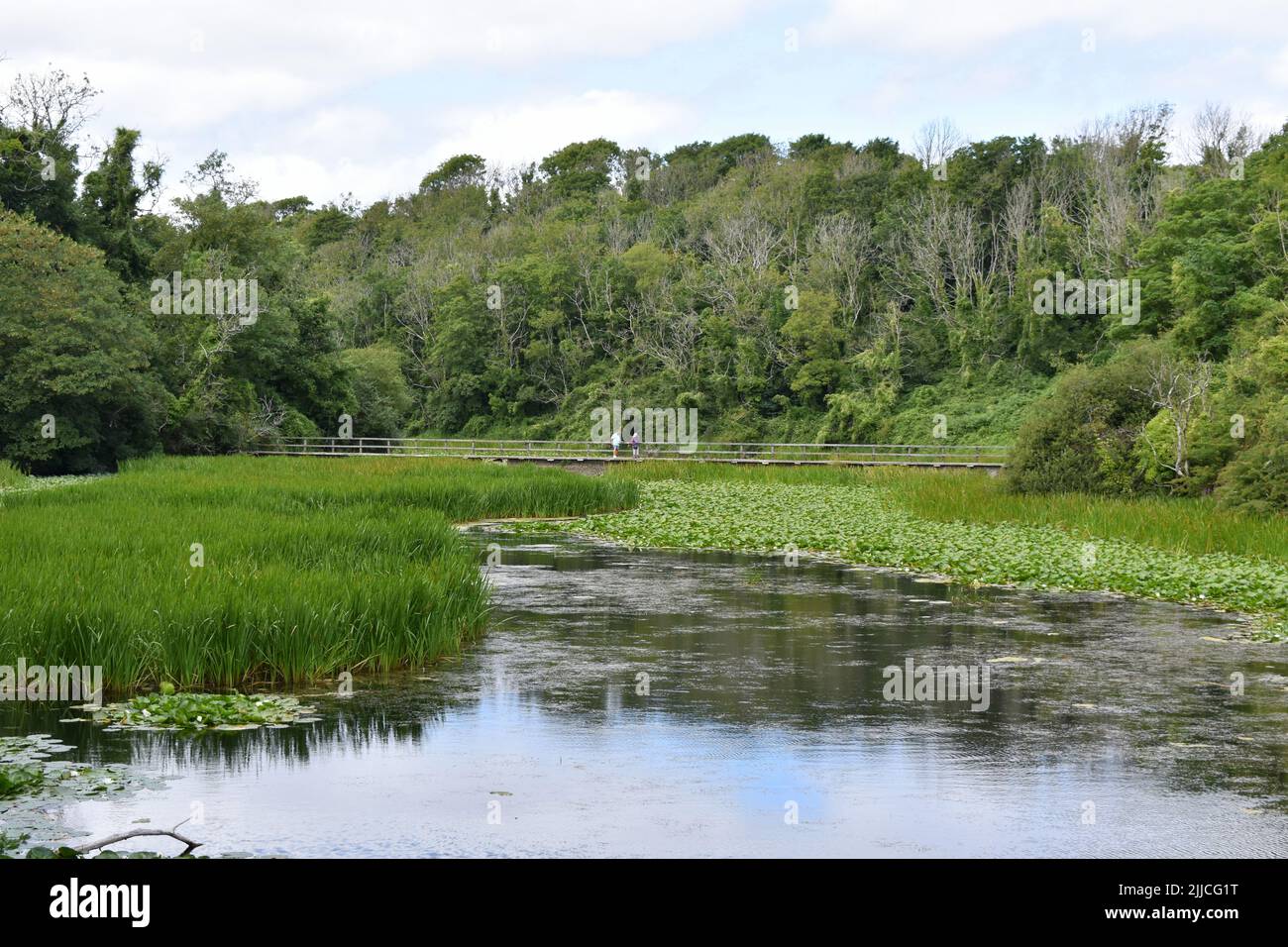 Bosherston Lakes, Bosherston, Stackpole, Pembrokeshire, Wales Stock ...