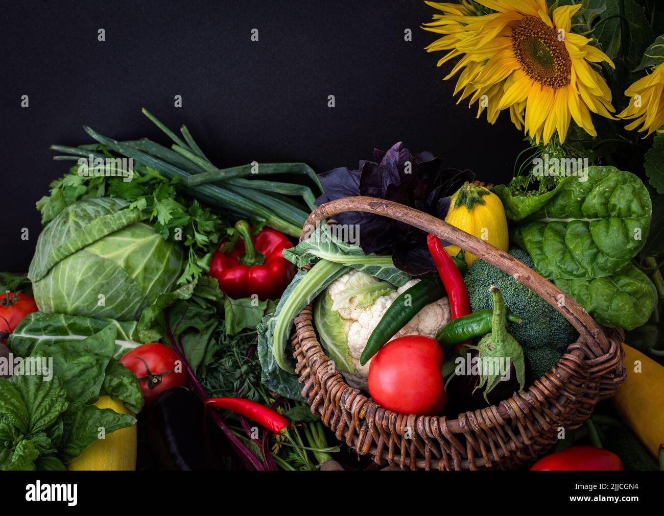 Fresh harvest, organic vegetables and herbs from the garden , sunflower ...