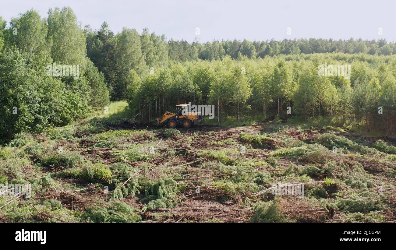 Trees and forests are uprooted and cut down. The tractor is uprooting ...