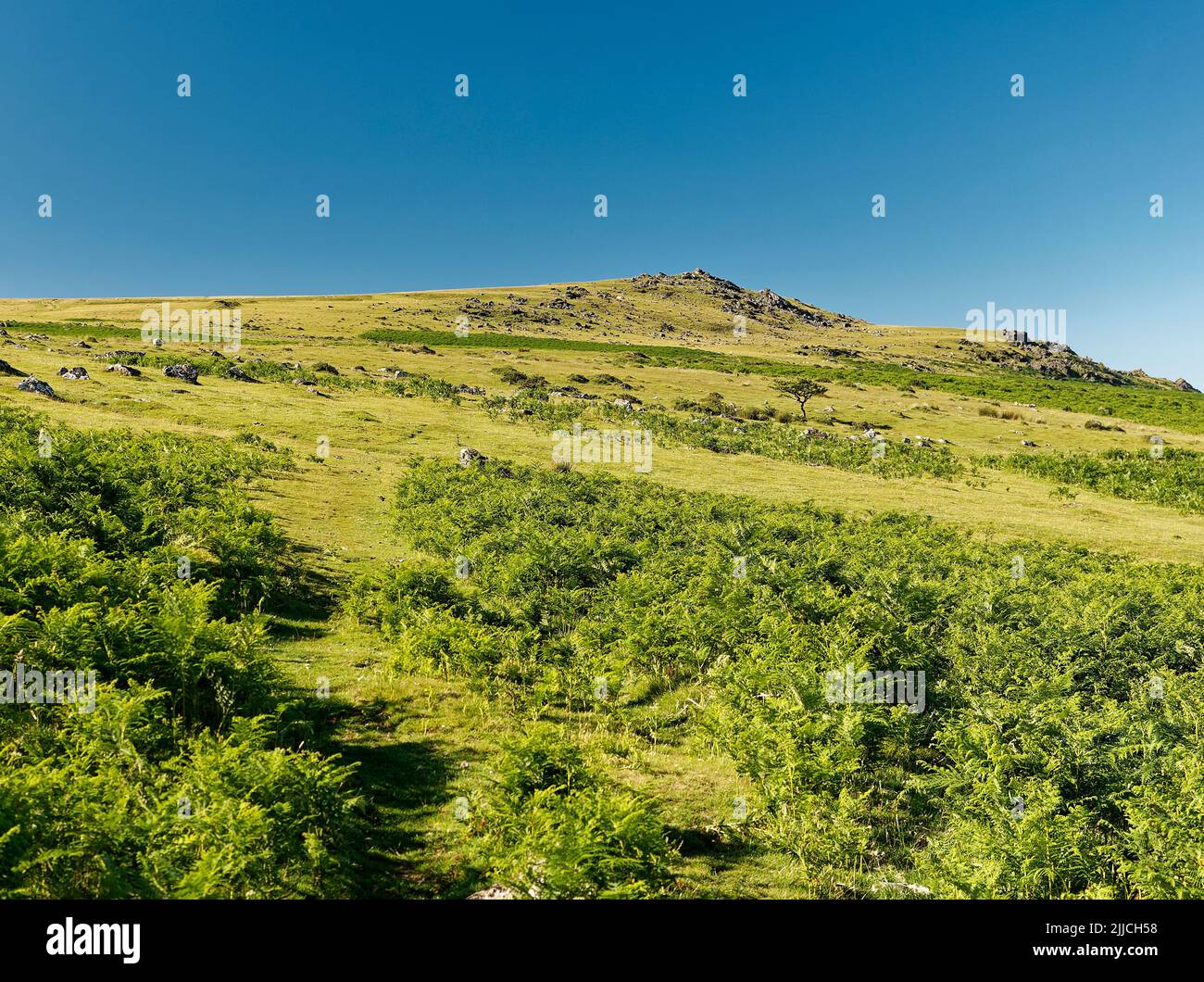 Tor tors hi-res stock photography and images - Alamy