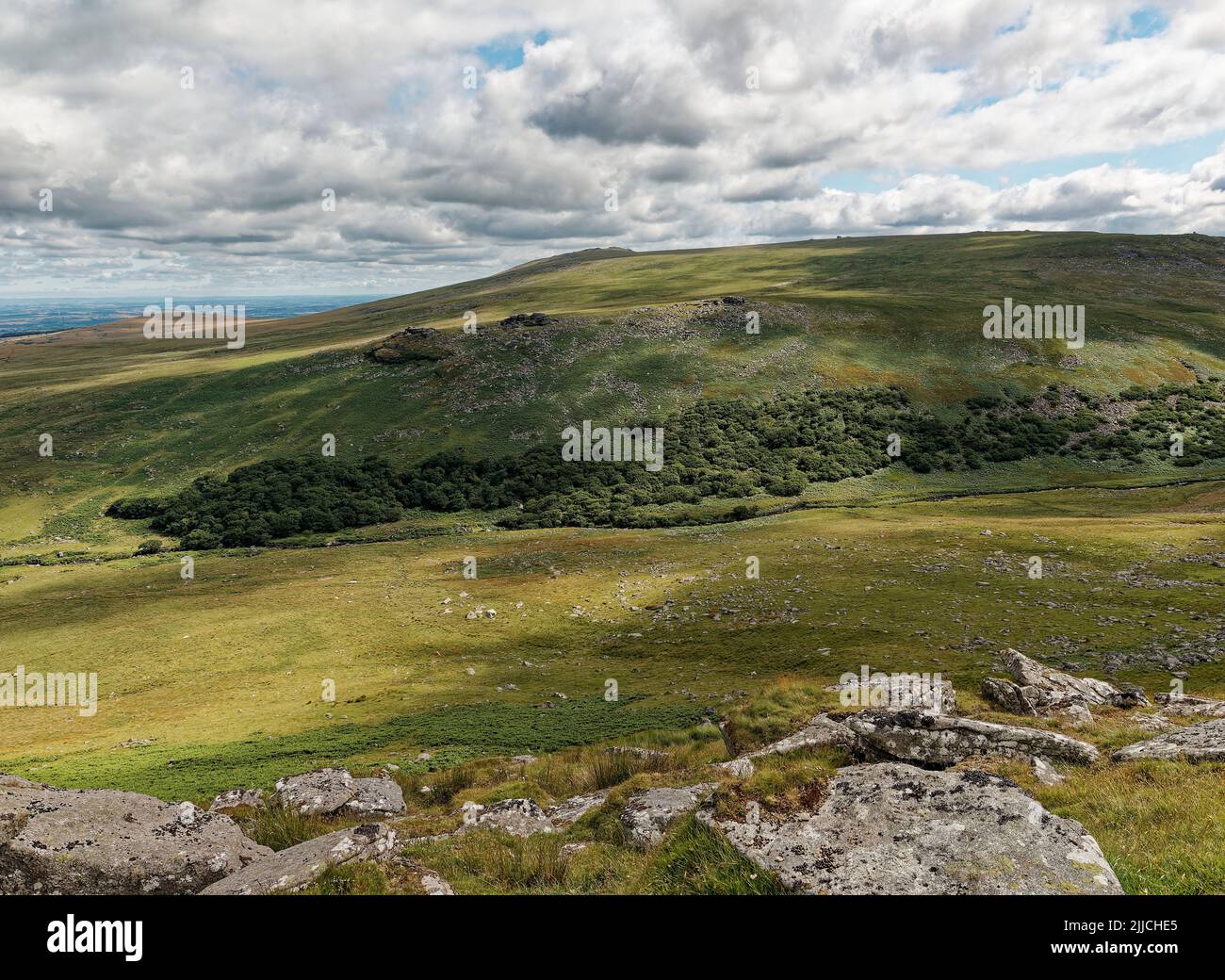 Yes tor black hi-res stock photography and images - Alamy