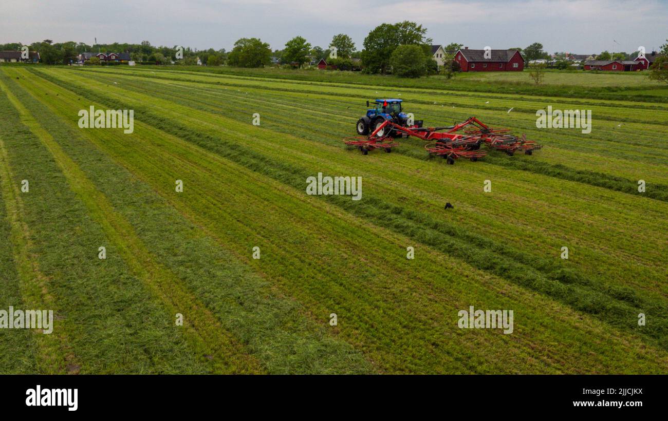 Harvest time for farmer. traktor and the harverster goining in full ...