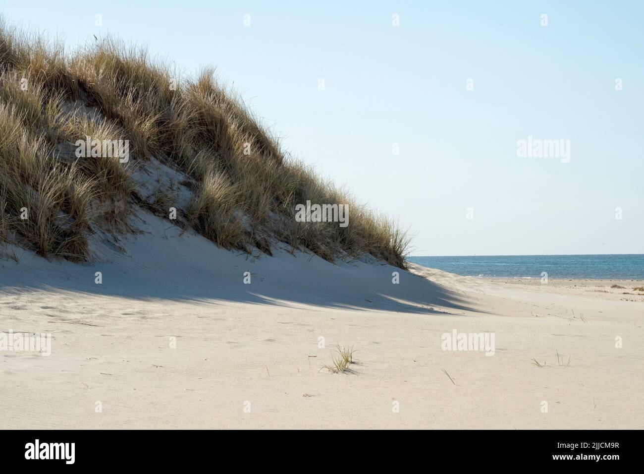 Sand dunes on the island of Rømø in Denmark Stock Photo - Alamy