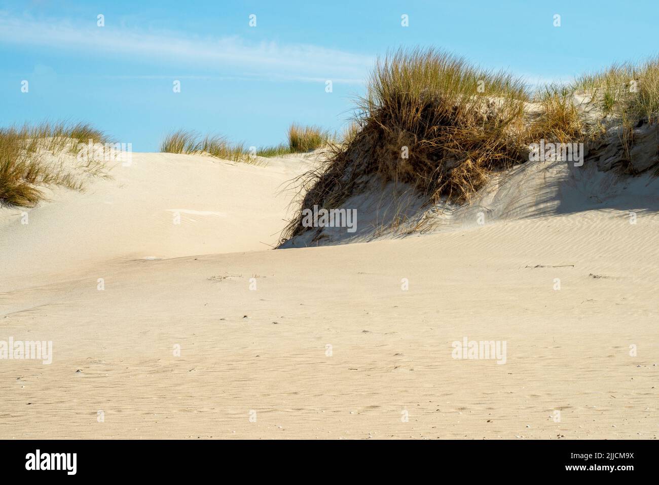 Sand dunes on the island of Rømø in Denmark Stock Photo - Alamy